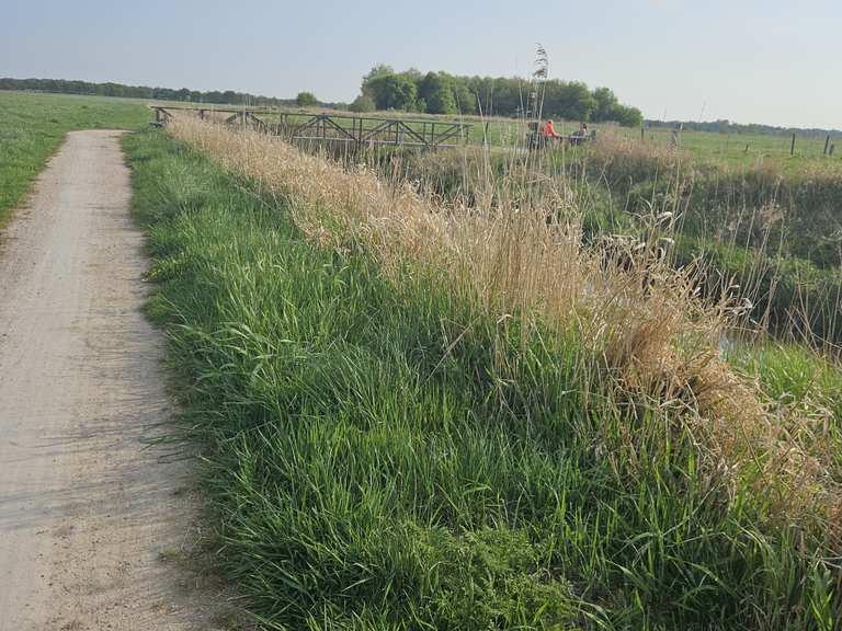 St. Magnus Church Sandel and Scenic Path - Mountain Bike Trails ...