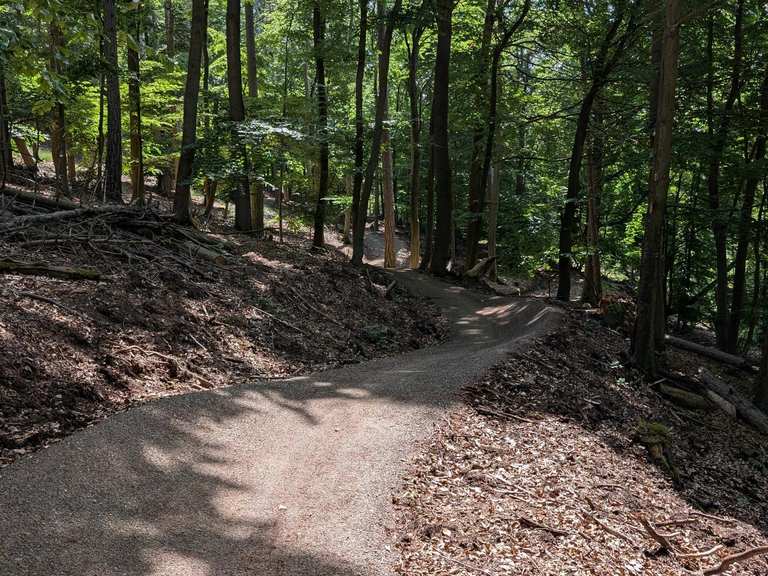 Waldecker Loop, Green Trails Mountain Bike Trails & Tracks | Komoot