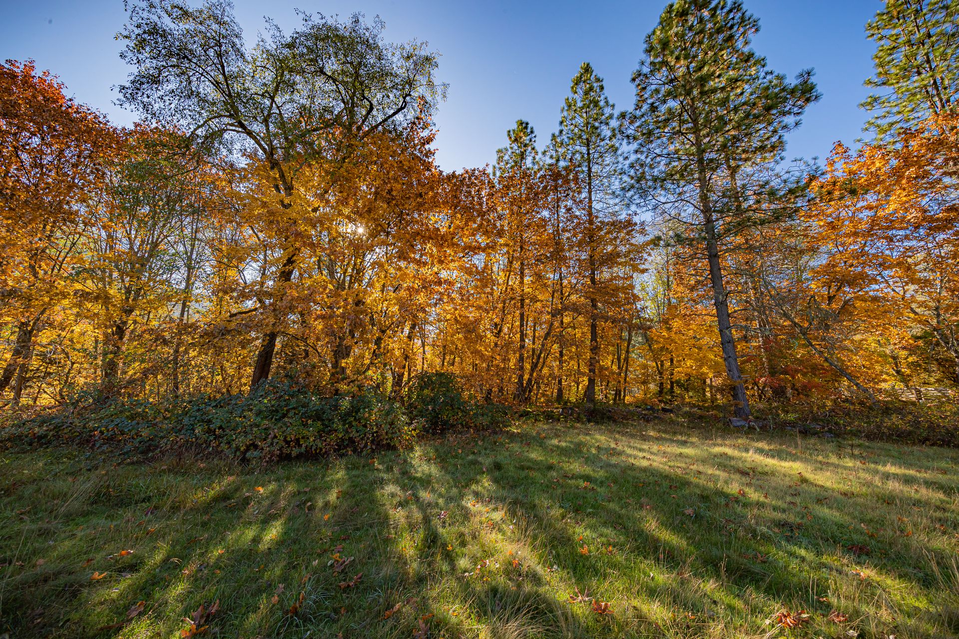 The Knobstone Trail — Walking Indiana’s wild side | Hiking Collection ...
