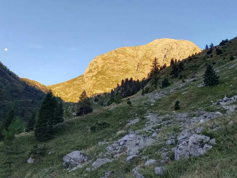 From Passo di Monte Croce Carnico to Rifugio Marinelli (via CAI Trails ...