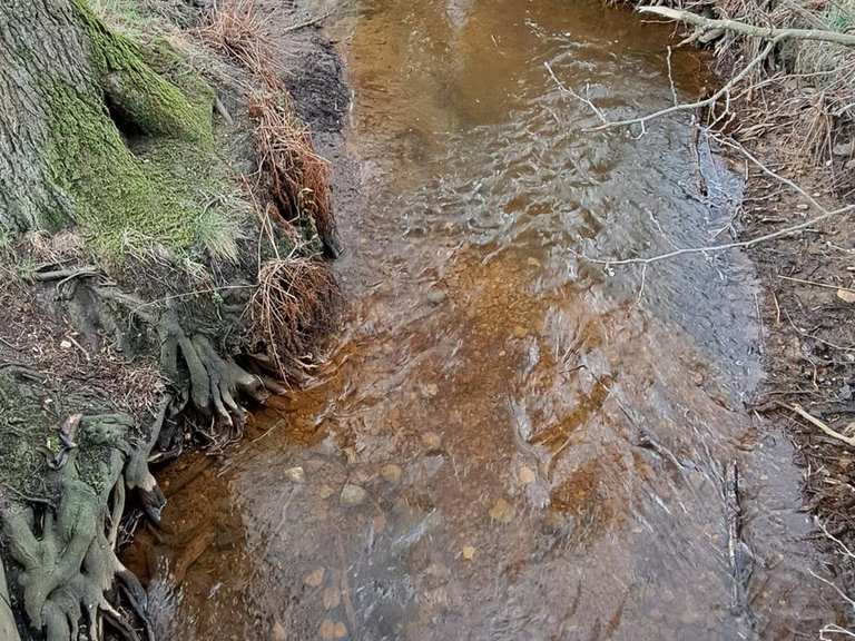 Picnic area on the Wümme River Routes for Walking and Hiking | Komoot