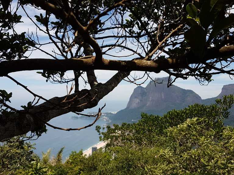 Irmão Maior via Trilha dois Irmãos ida y vuelta desde Vidigal — Río de ...