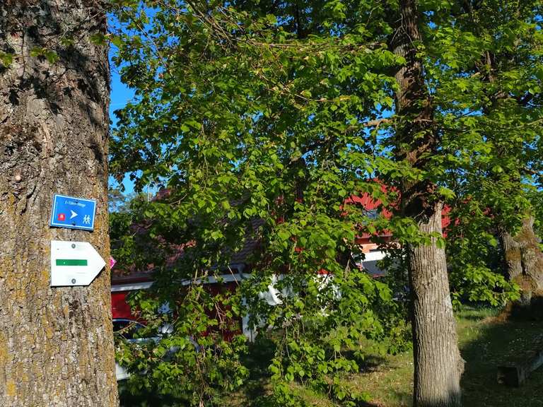 "Trait vert" entre Waikersreuth et Leuzdorf - Sentiers et pistes de VTT ...