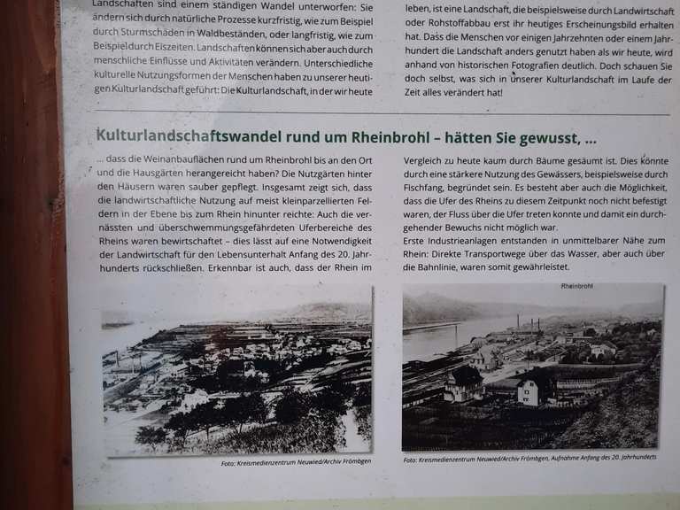 V-Förmiger Ab- und Aufstieg nach Ley mit Rheinblick: Wanderungen und Rundwege | komoot