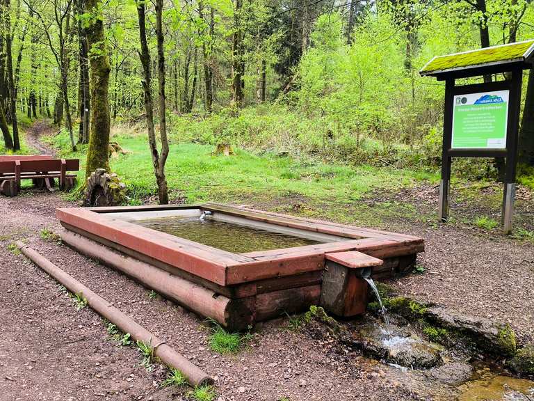 Kneipp Water Treading Basin and Drinking Fountain Wilhelmsthal Routes ...