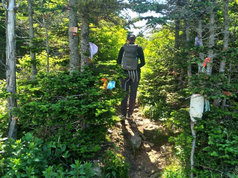 Kauzmann Trail — Bay Saint Lawrence East | caminhada | Komoot