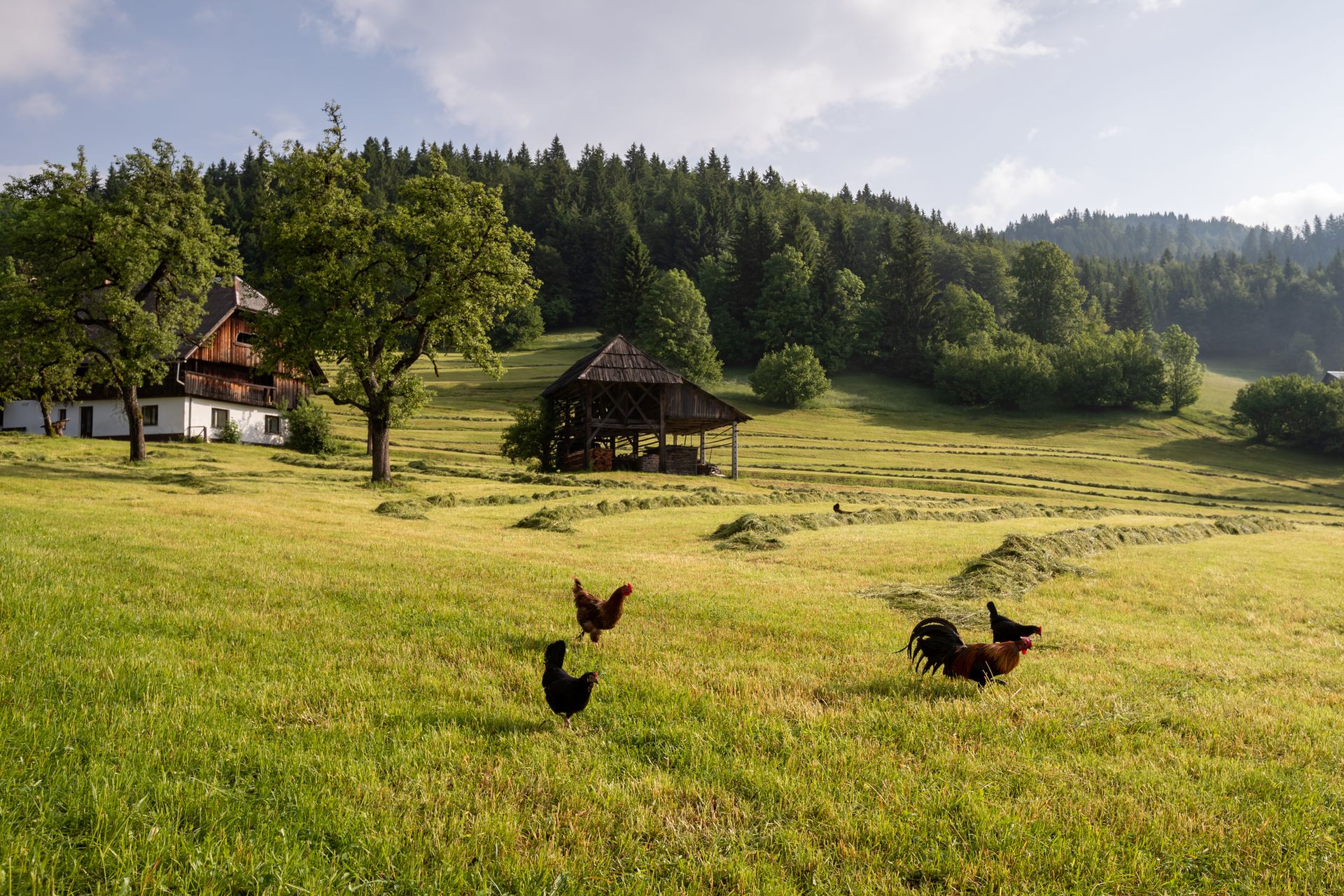 Einzigartig abgeschieden – Fernwandern auf dem Juliana Trail | Wander ...