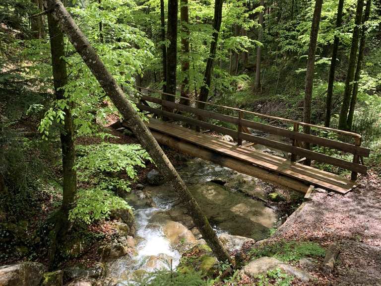 Rehbach-Klamm - Scheffau am Wilden Kaiser, Kufstein | Lauf-Highlight ...