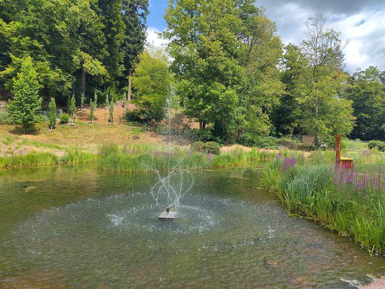 Wächtersbach castle forest trail with a food break | hike | Komoot
