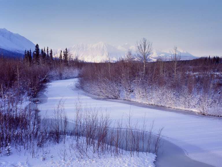 Alsek Valley Trail — Kluane National Park and Reserve | Wanderung | Komoot