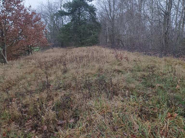 Crossing the former railway embankment Routes for Walking and Hiking ...