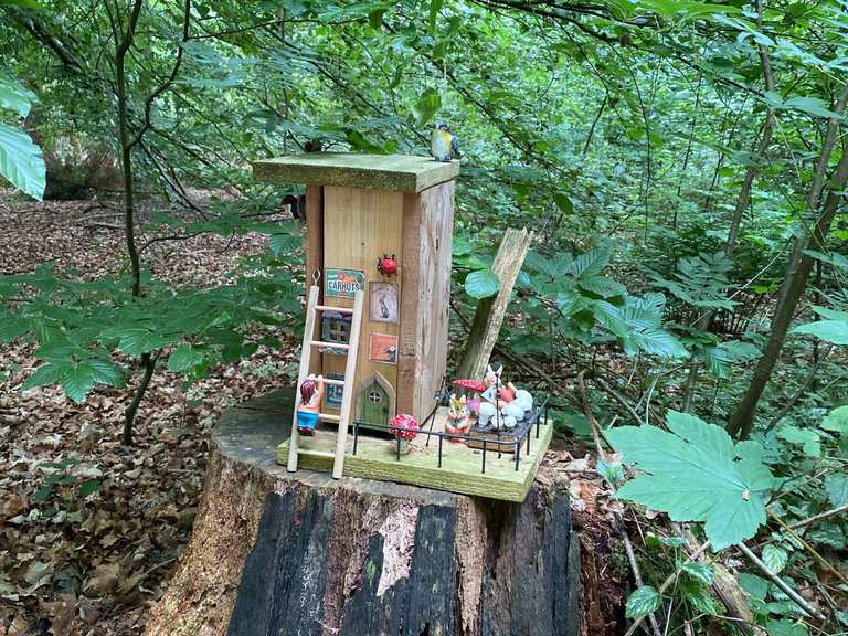 Wandeling langs gevangenis de Kruisberg | wandeling | Komoot