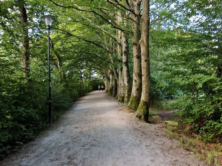 Sentier du lac Mosvatnet - Itinéraires de rando et marche | Komoot