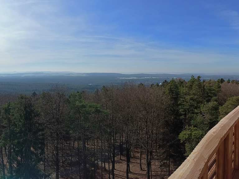 New observation tower - Cycle Routes and Map | Komoot