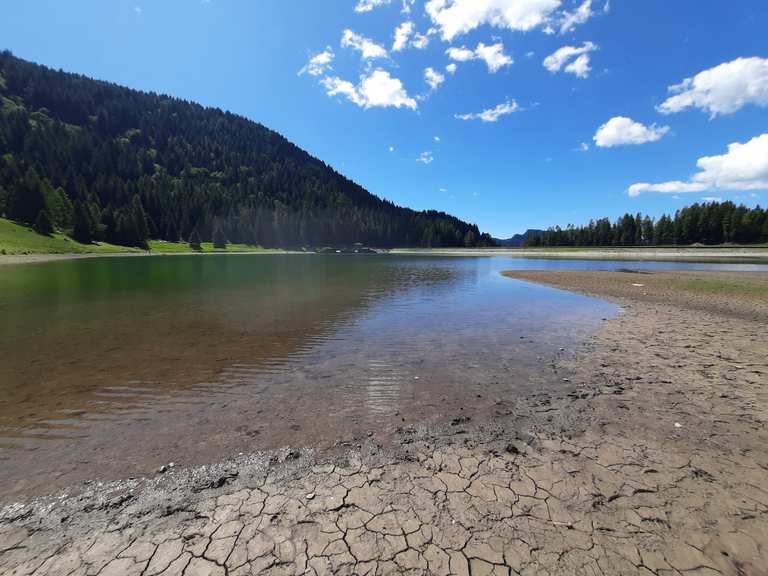 Memory Trail und Palete Path von Borno | Wanderung | Komoot