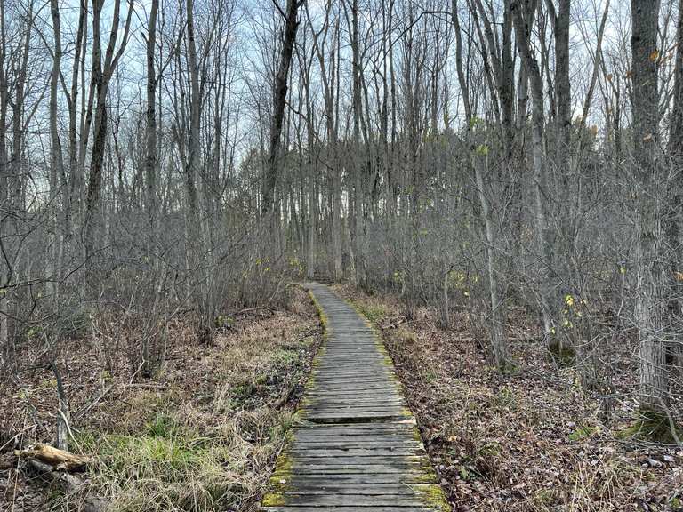 Pinhey Forest loop via Trail 31 — Ottawa | hike | Komoot