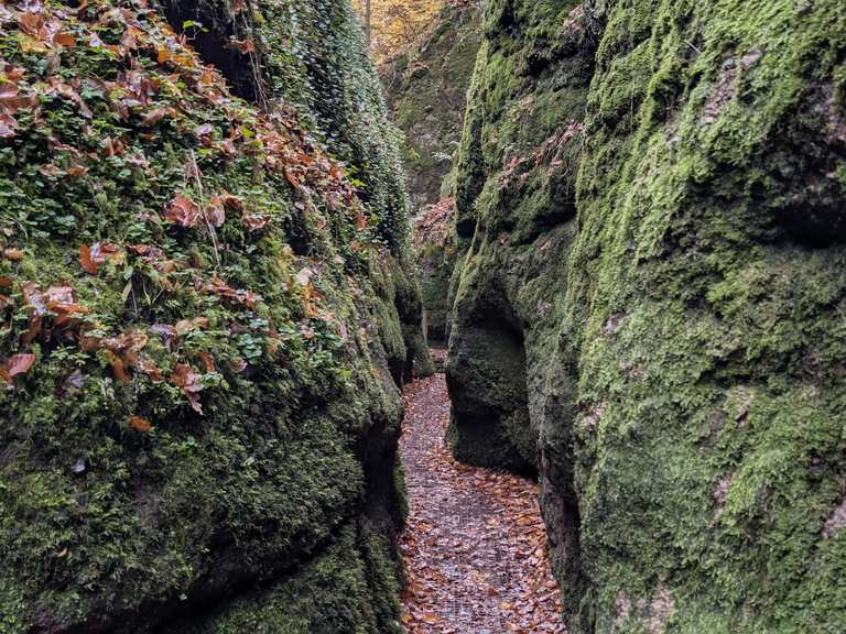 Dragon Gorge - Green Hell Routes for Walking and Hiking | Komoot