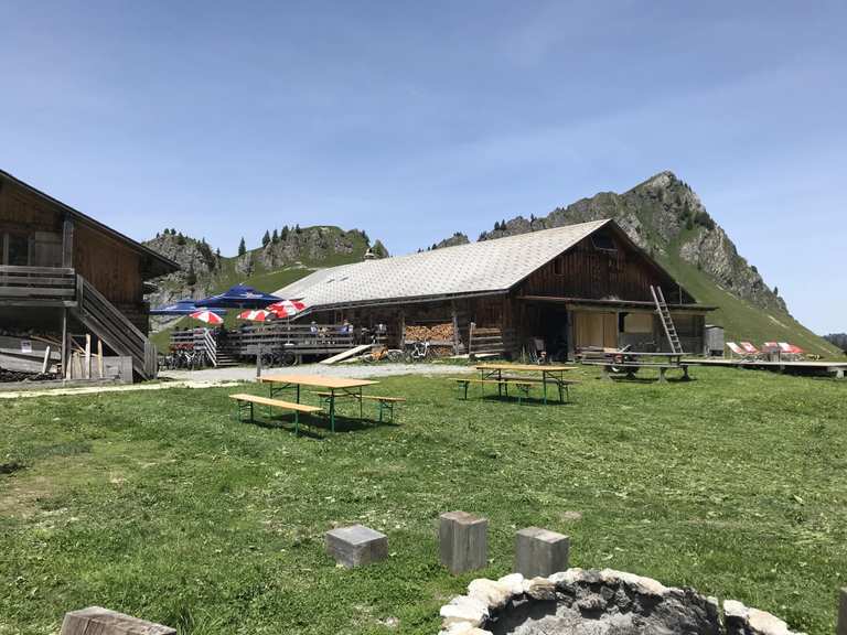 W1 Meienberg – Rundwanderung Seebergsee – Meienberg | Wanderung | Komoot