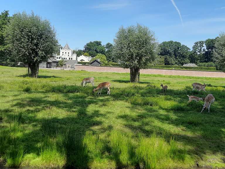Sandenburg Castle with fallow deer - Cycle Routes and Map | Komoot