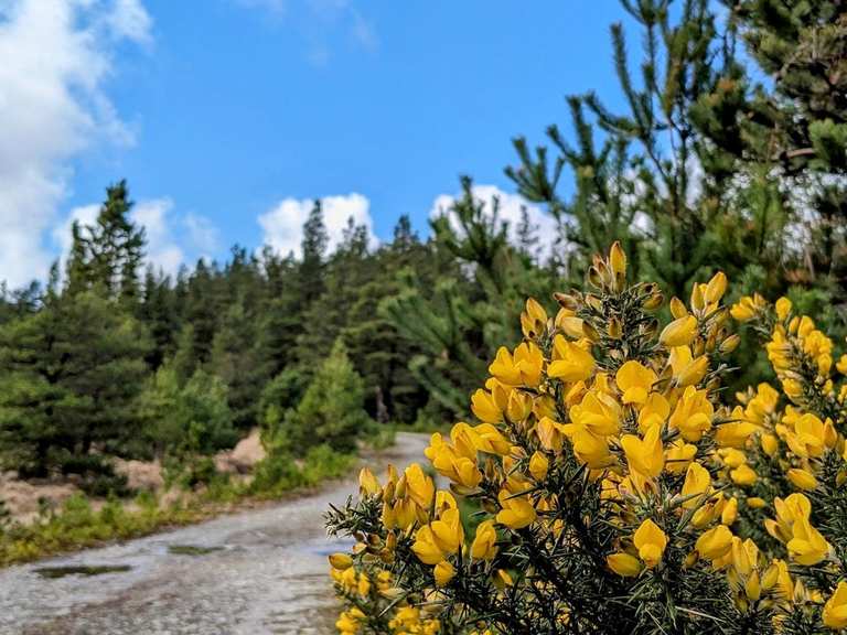 Stage 6: Letterkeen to Bellacorick – Western Way | hike | Komoot