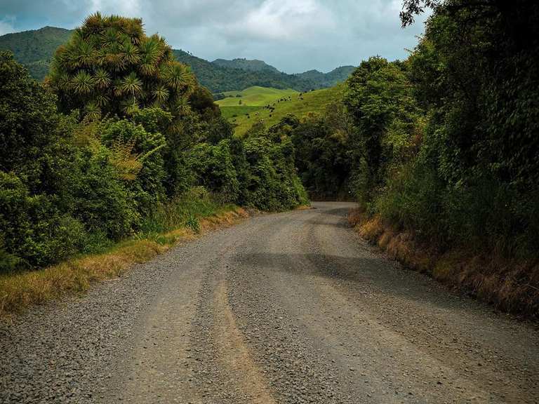 Te Hutewai Road at the 6 km mark. - Cycle Routes and Map | Komoot