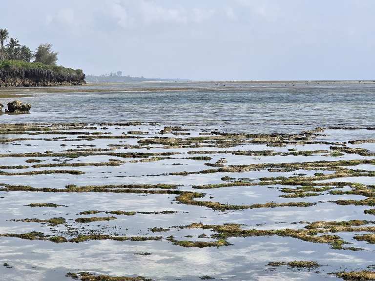 African Pool, Tiwi Beach – Wandelingen & Hoe er te komen | Komoot