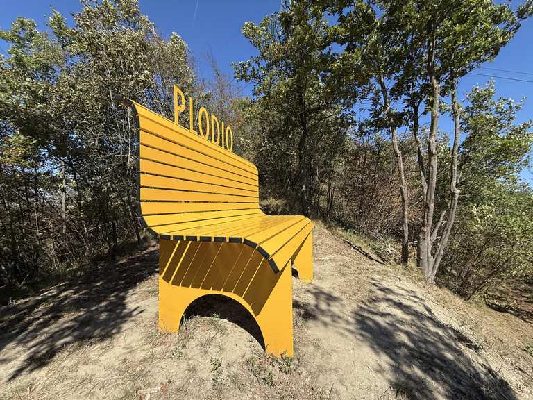 Giant Bench - Mountain Bike Trails & Tracks | Komoot