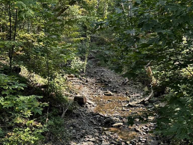 Canterbury Falls, Sherman Falls & Tiffany Falls loop | wandeling | Komoot