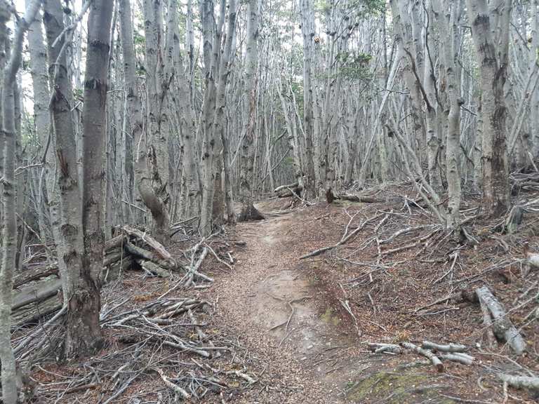 Pad naar Cerro Susana - wandelroutes en hikes | Komoot