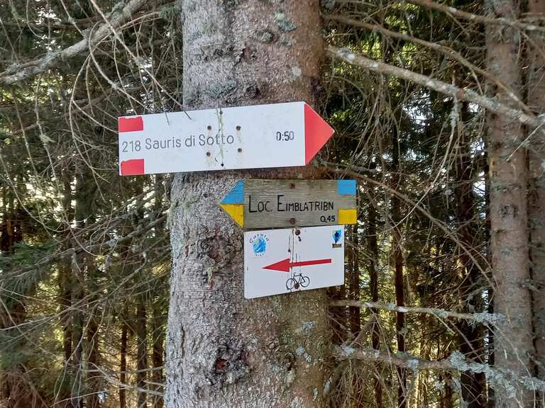 Sauris Almweiden-Wanderweg (über CAI 218) | Wanderung | Komoot