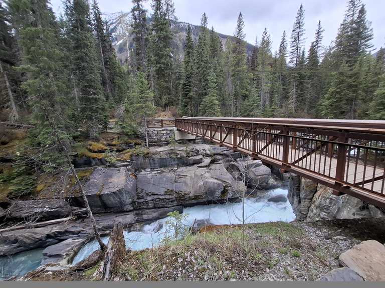 Numa Creek Trail to Numa Creek Campground — Kootenay National Park ...