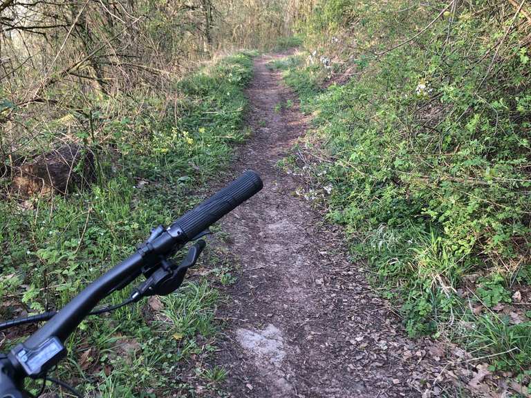 Südhang-Aufstieg (Naturpark Steigerwald): Mountainbike-Touren und ...