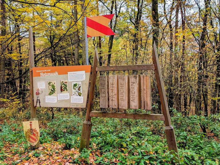 Info point wood music Routes for Walking and Hiking | Komoot