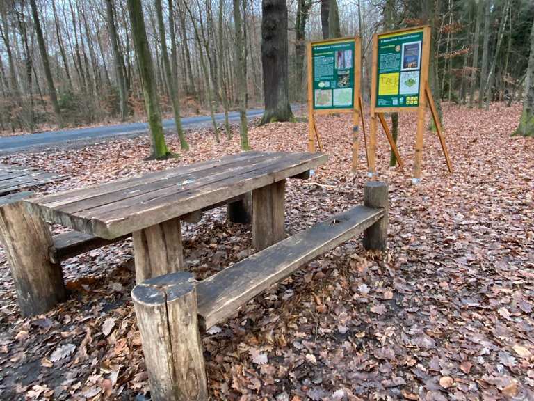 Rest area on Heidemühlweg Routes for Walking and Hiking | Komoot