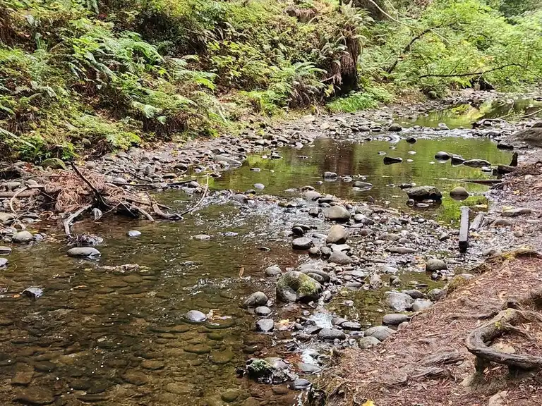 Bridge Creek waterfalls via Aptos Creek Fire Road — The Forest of ...