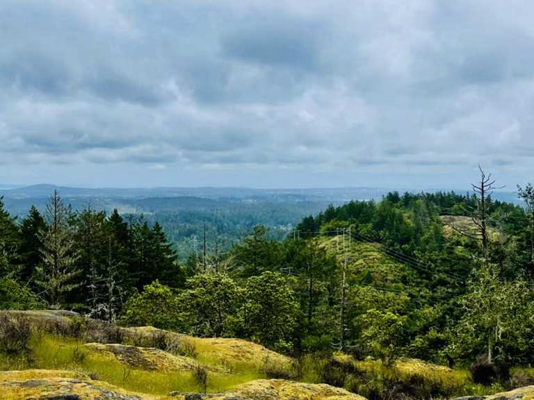 Stewart Mountain & Scafe Hill Trail loop — Thetis Lake Regional Park ...