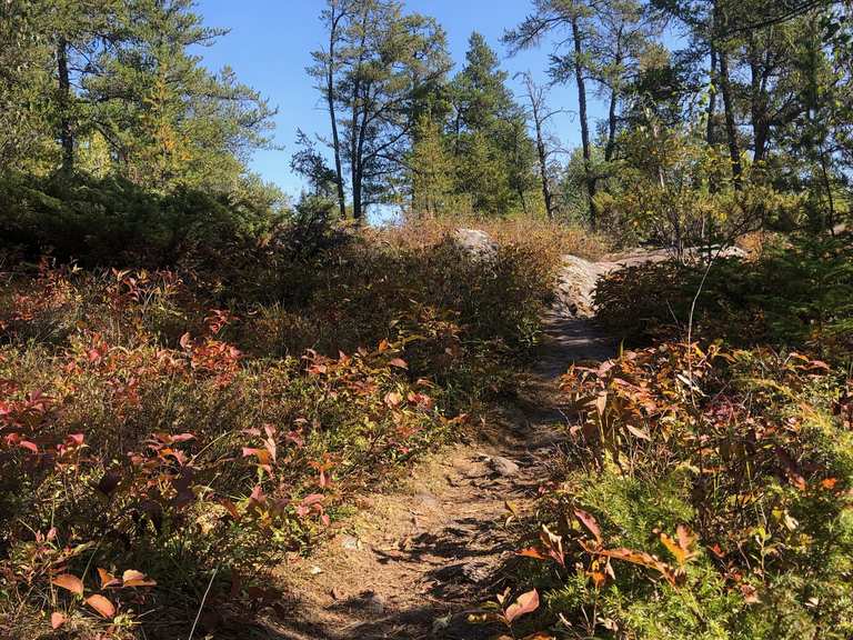 Bear Lake Hiking Trail — Whiteshell Provincial Park | caminhada | Komoot