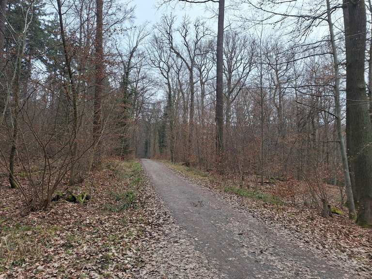 Cycle Path Sillenbuch–Rohracker - Cycle Routes and Map | Komoot