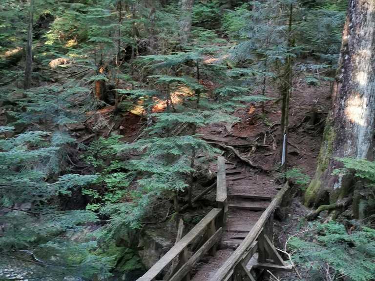 Brothers Creek to Lost Lake loop — West Vancouver | hike | Komoot