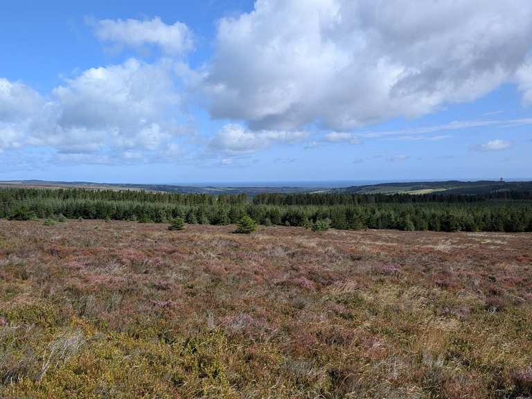 York Cross (Sneaton High Moor) Routes for Walking and Hiking | Komoot