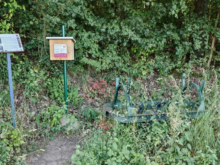 Stamp Station TraumRunde Abtswind - Mountain Bike Trails & Tracks | Komoot