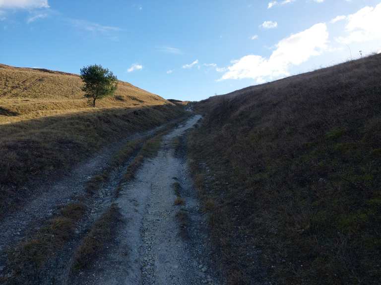 "Im Gipsland" Gacki: Nadnidziański Landschaftspark | Wanderung | Komoot