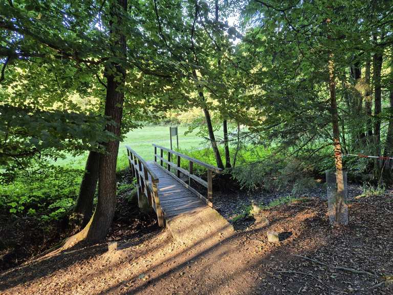 Wooden Bridge and Forest Trail - Mountain Bike Trails & Tracks | Komoot