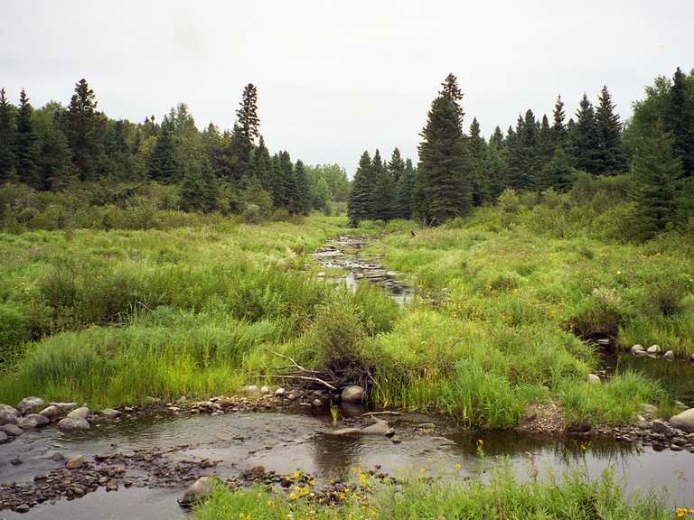 Clear Lake South Shore Trail — Riding Mountain National Park ...