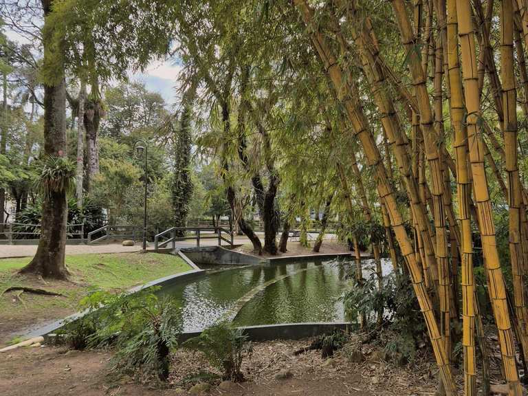 Circular pela ciclovia do rio Belém, bosque do Papa João Paulo II e ...