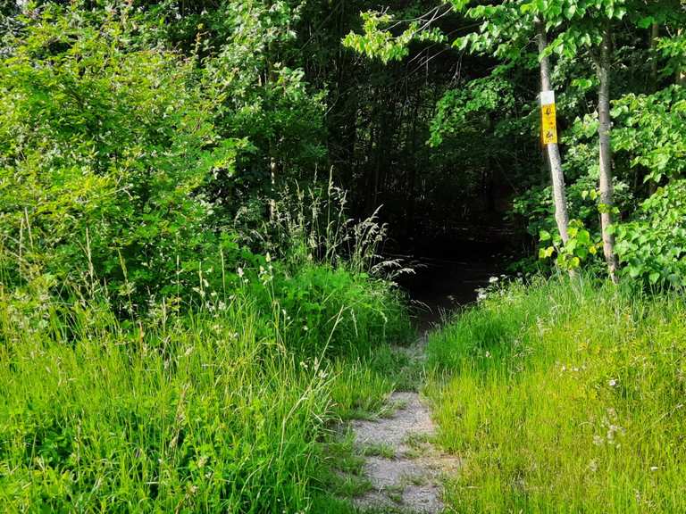 Stamp Station TraumRunde Abtswind - Mountain Bike Trails & Tracks | Komoot