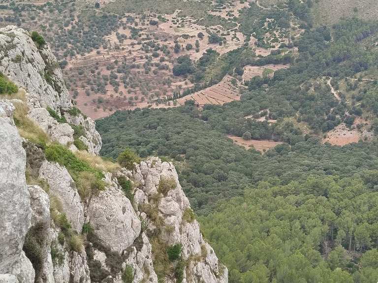 Puig de Can Groc Routes for Walking and Hiking | Komoot