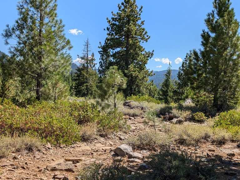 Sawtooth & Big Chief Trail loop — Tahoe National Forest | mountain bike ...