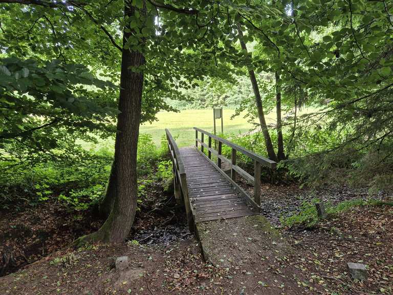 Wooden Bridge and Forest Trail - Mountain Bike Trails & Tracks | Komoot