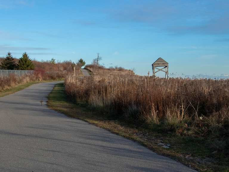Courtice Shore Trail — Oshawa | wandeling | Komoot